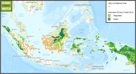 Eco-Apocalypse: Indonesia Burns, Media Yawns | Watershed Sentinel